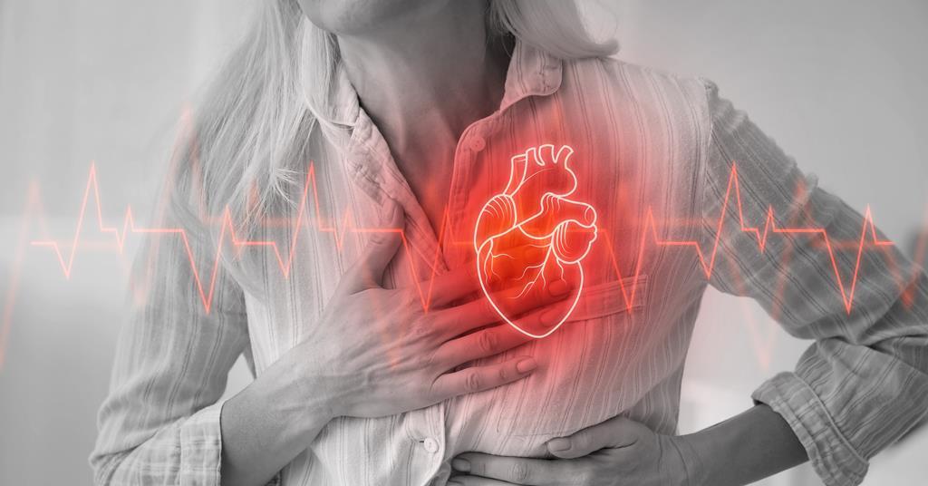 Cardiac organoids repair heart attack damage in preclinical study ...