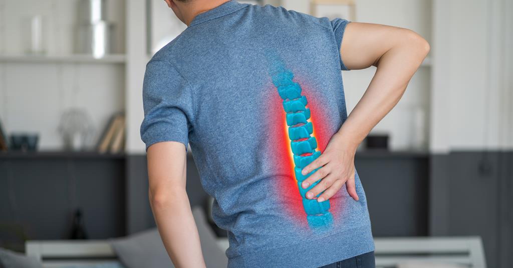 Senolytic therapy may delay early intervertebral disc degeneration ...
