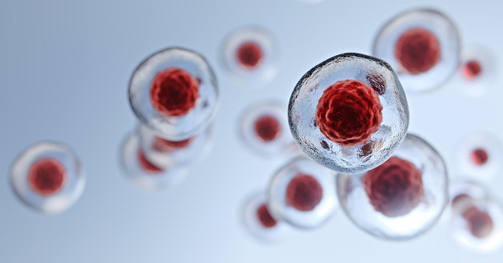Recreating the human heart for drug discovery | Drug Target Review