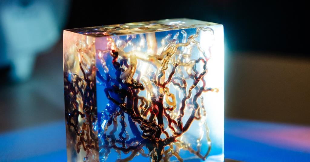 Vascularised 3D tissue models improve ADC preclinical prediction under ...