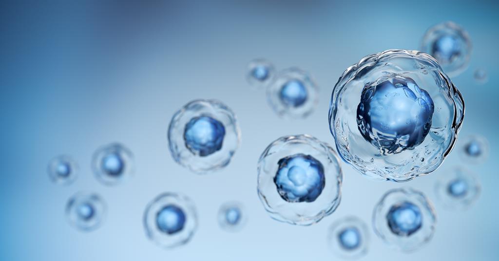 How organoids and iPSCs are improving drug discovery models | Drug ...