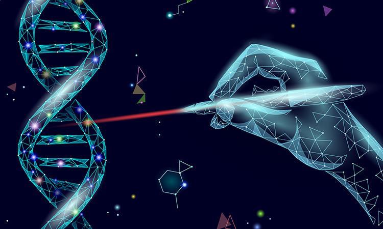 Human-derived proteins used in DREAM tool | News | Drug Target Review