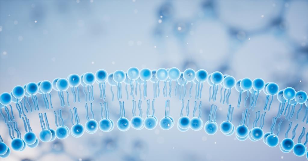 Cell membrane lipids regulate EGFR activity and cancer growth | Drug ...