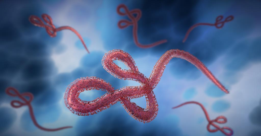 Cerebral organoids reveal how Ebola virus persists in brain tissue for ...