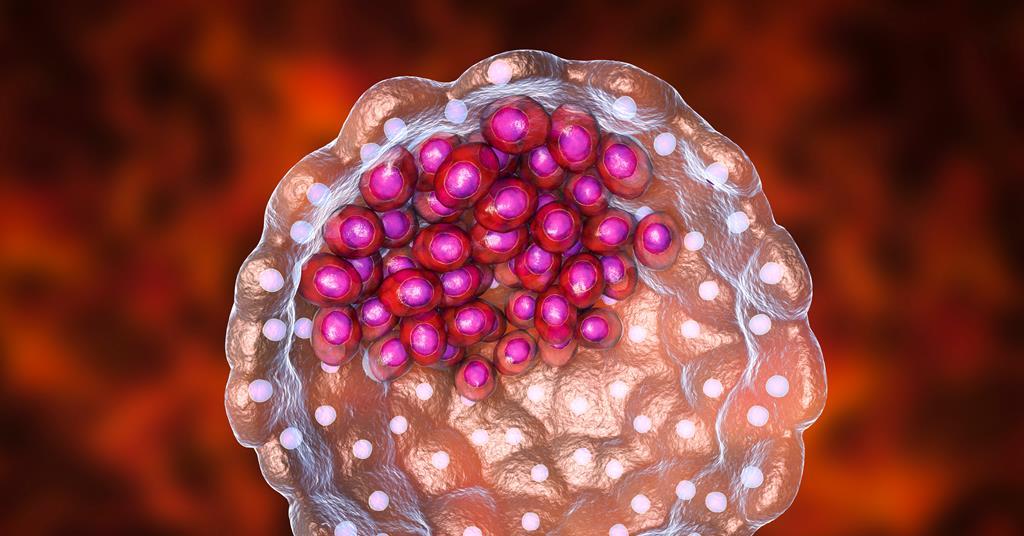 Blastoids enable greater understanding of human gastrulation | News ...